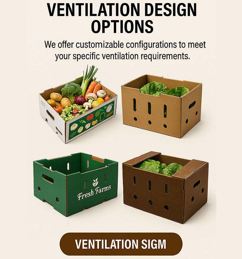 BDL Custom Printed Cherry Vegetable Fruit Corrugated Board Carton ...